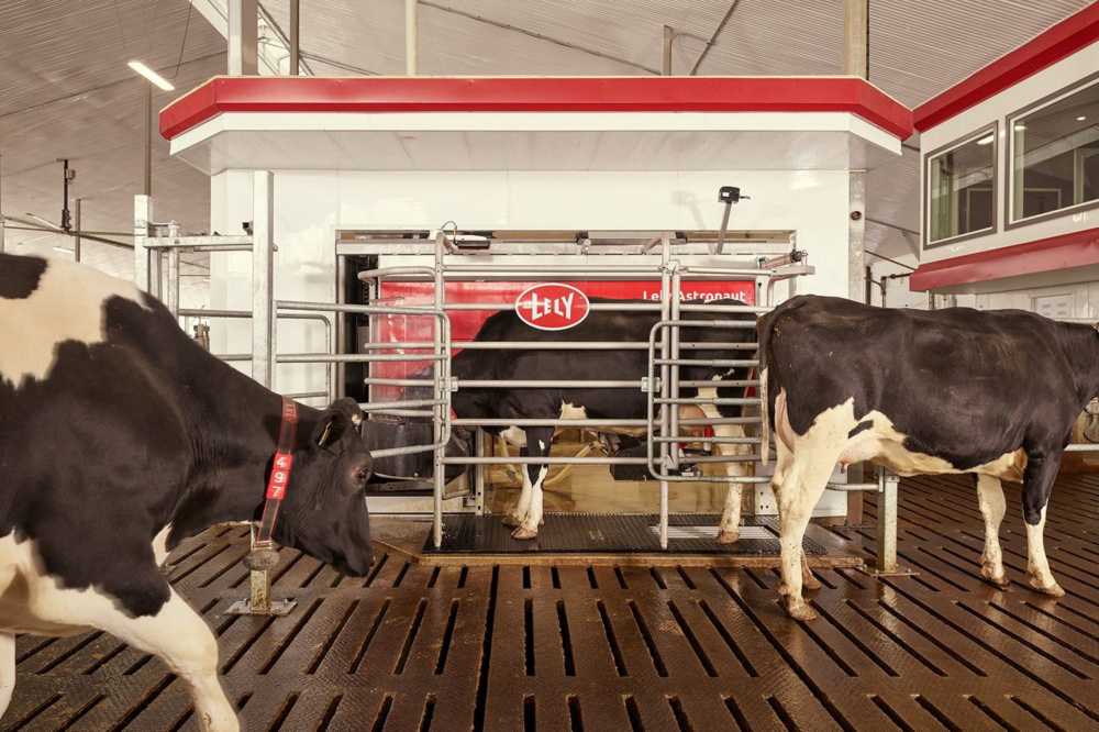 Lely lance son nouveau robot de traite Astronaut A5 – FARM Connexion