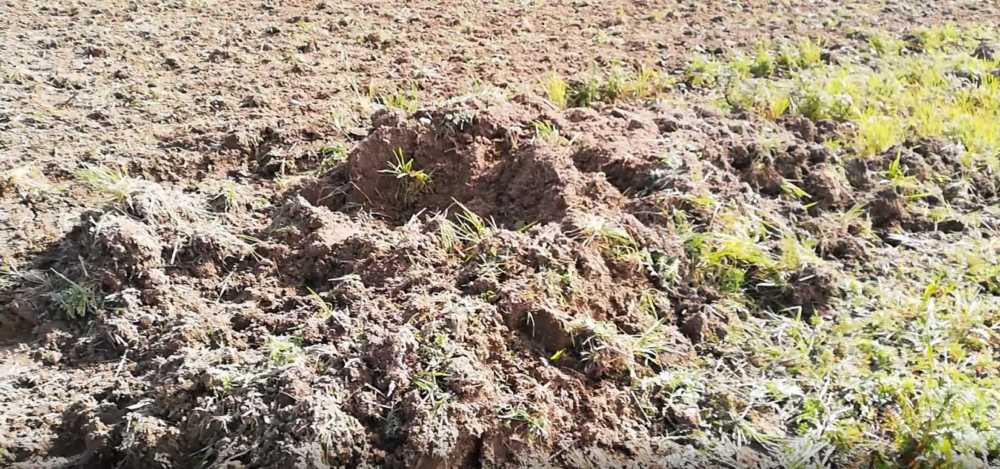 bourrage – FARM Connexion