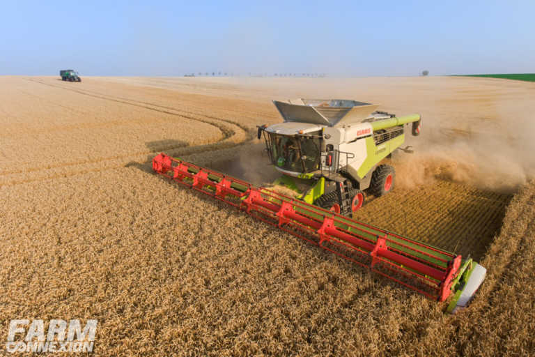 Nouvelles Claas Lexion : 14 modèles de 313 à 790 chevaux – FARM Connexion