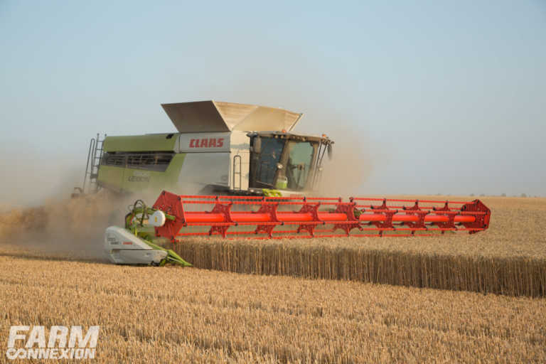 Nouvelles Claas Lexion : 14 modèles de 313 à 790 chevaux – FARM Connexion