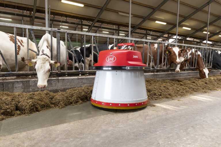 Le nouveau Lely Juno plus économe – FARM Connexion