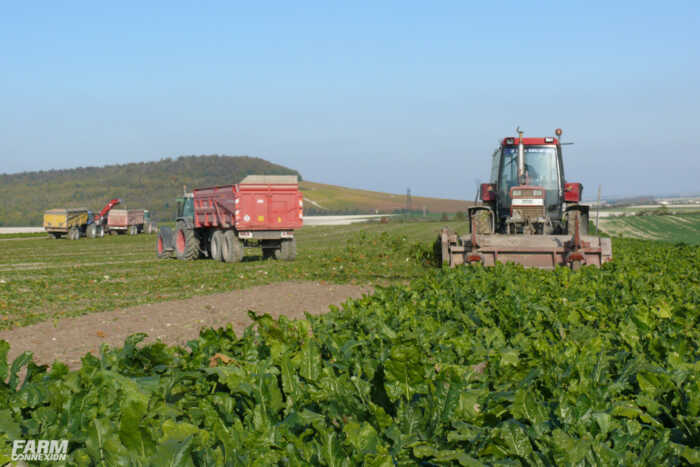 Dans le rétro : Un chantier d’arrachage décomposé Moreau – FARM Connexion